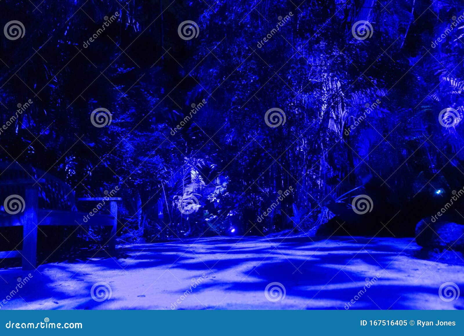 Night Garden Blue Walkway Path Nighttime Stock Image - Image of garden ...