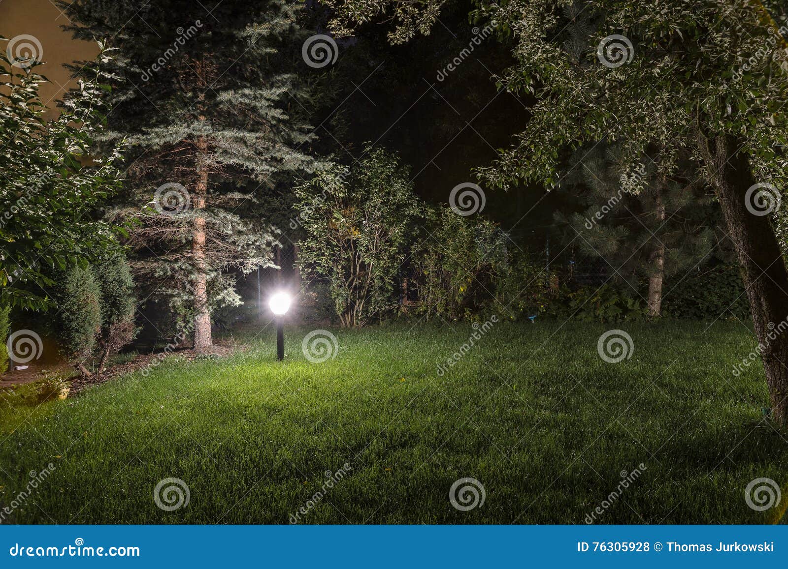 Night garden stock photo. Image of people, nature, stone - 76305928
