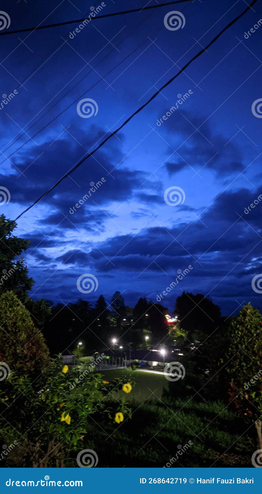 Night Garden View at Complex Stock Image - Image of sunlight ...