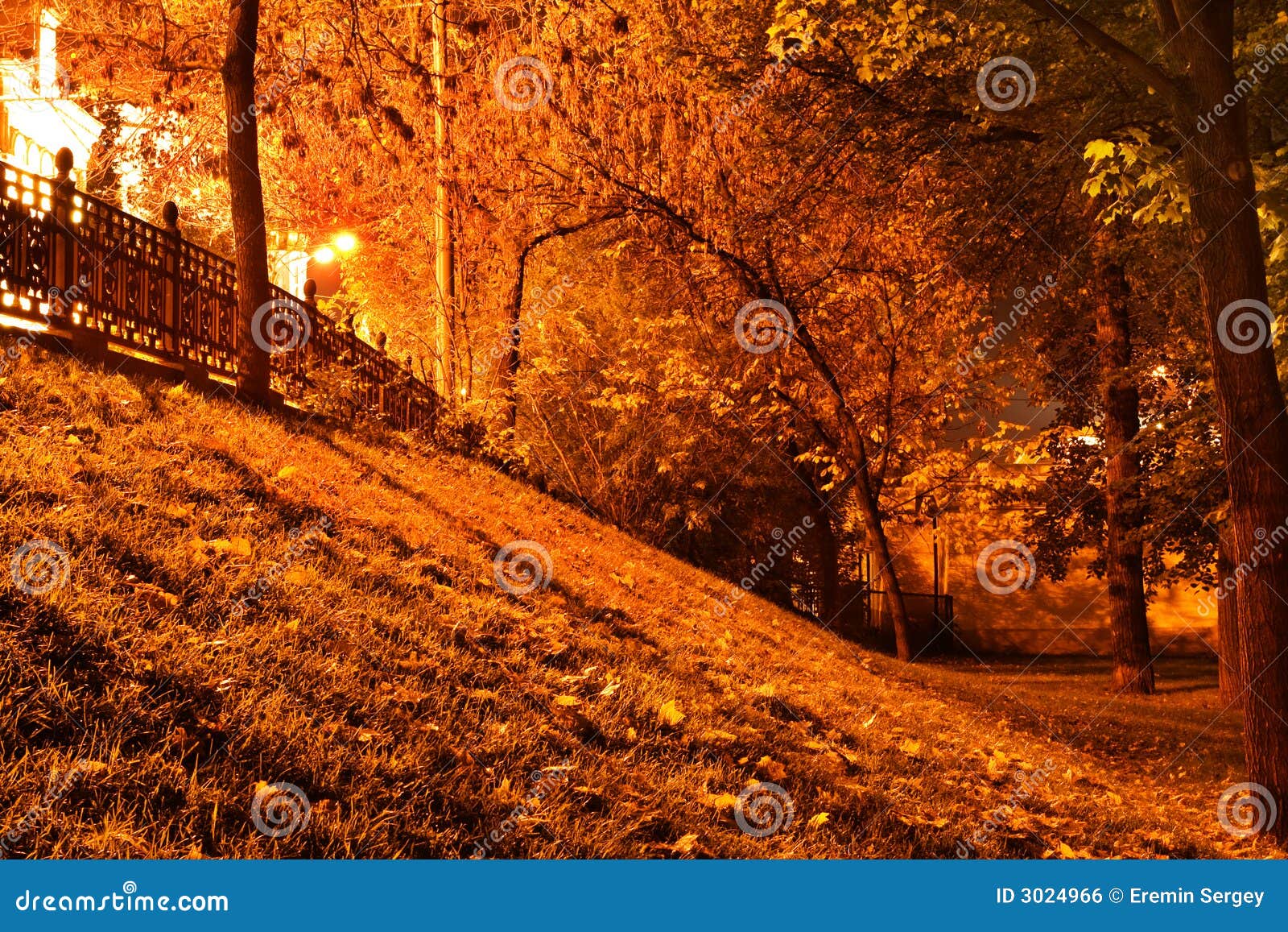 Night gold stock photo. Image of nighttime, fall, goldish - 3024966