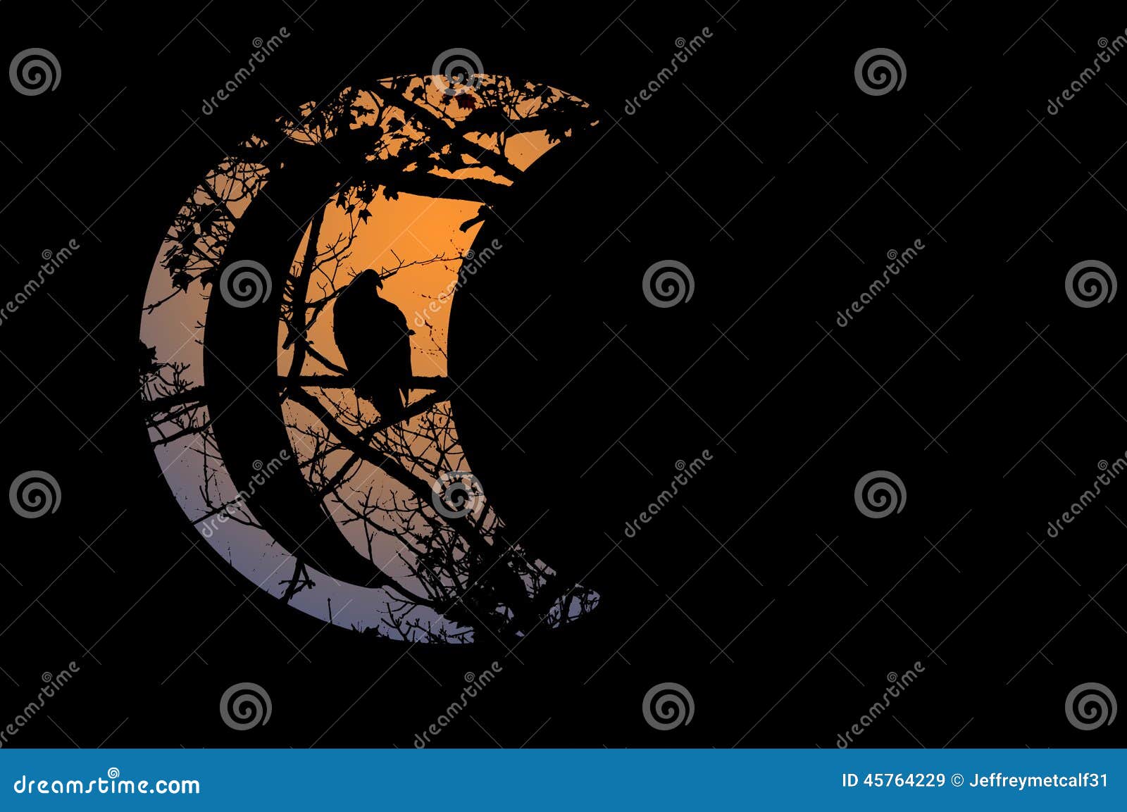 Night Hawk stock image. Image of tree, hawk, black, bird - 45764229