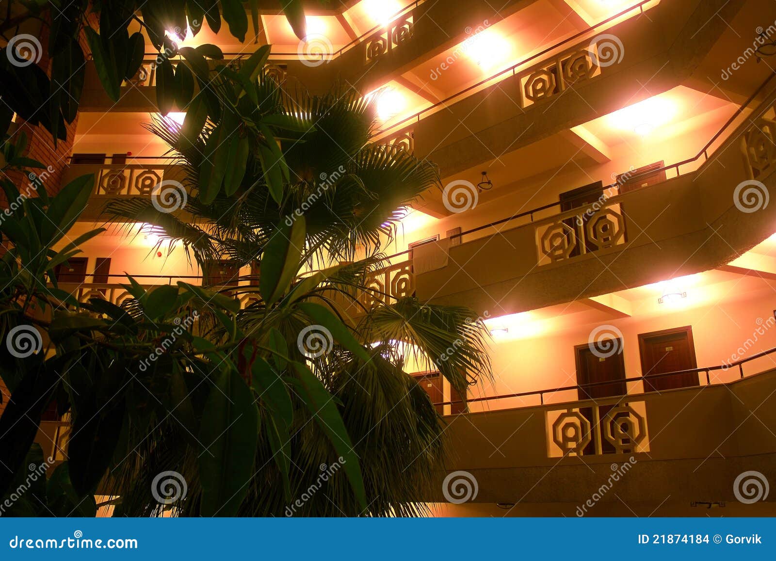 Night Hotel with Palm Trees Inside Shined Stock Photo - Image of hotel ...