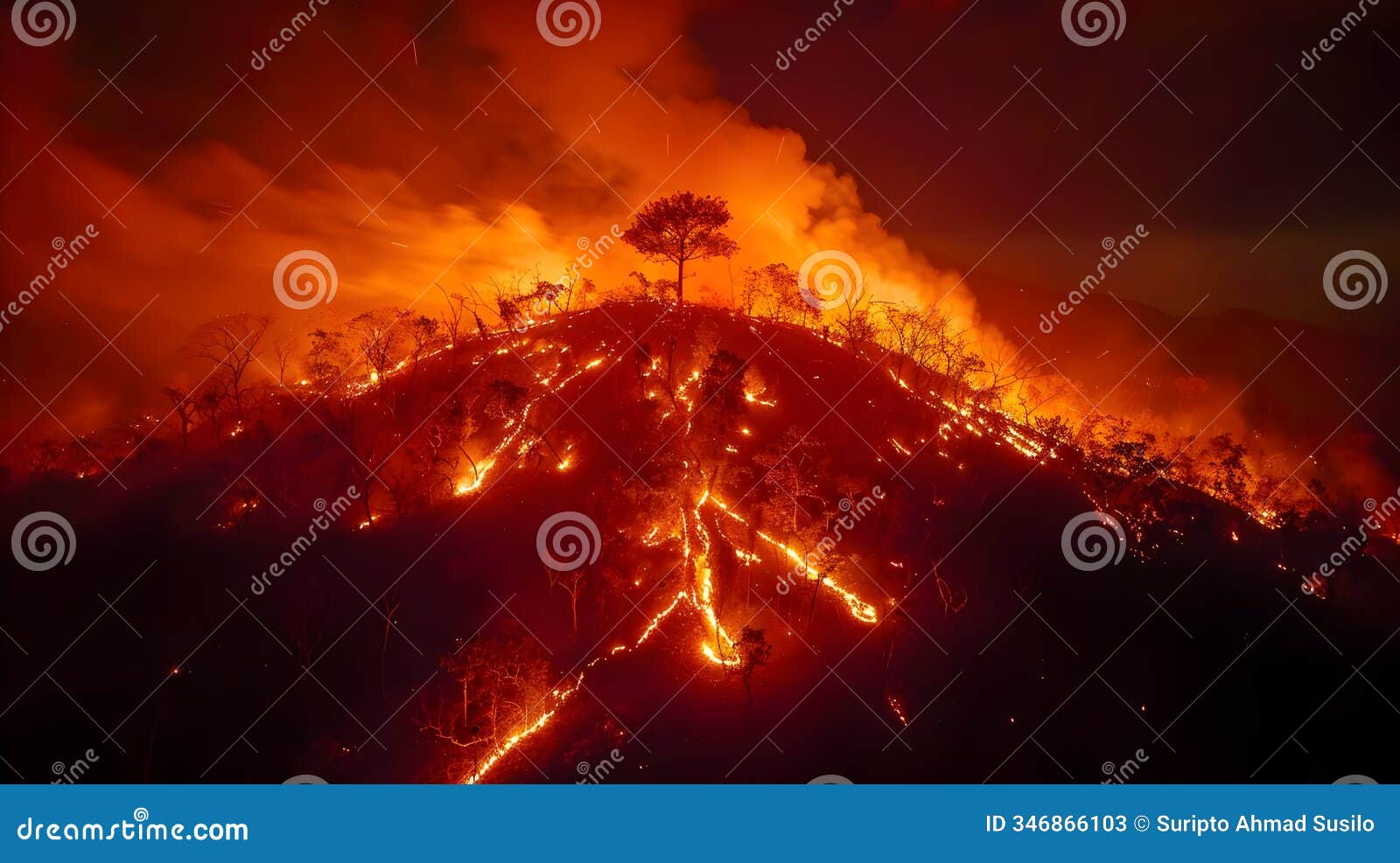 Night Inferno Hillside Fire Illustration Stock Illustration ...
