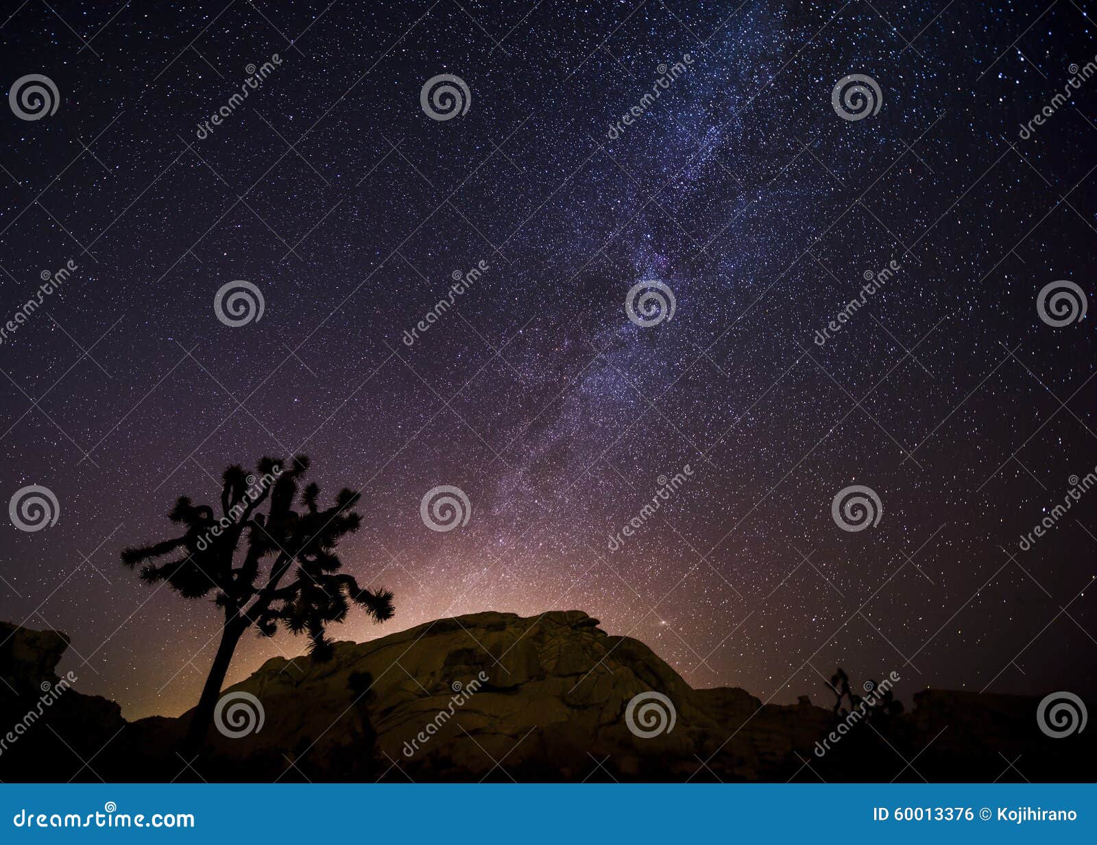 Night in Joshua Tree National Park Stock Photo - Image of star, long ...