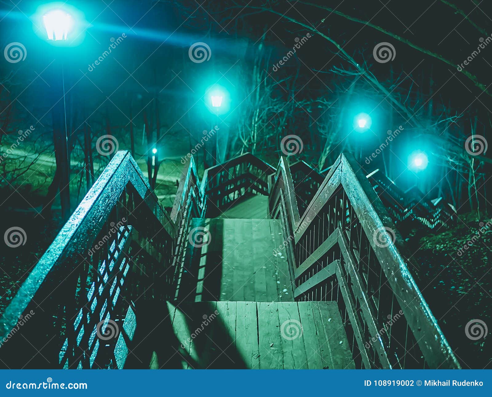 Night Ladder Stairs in the Forest Trees Stock Photo - Image of urban ...