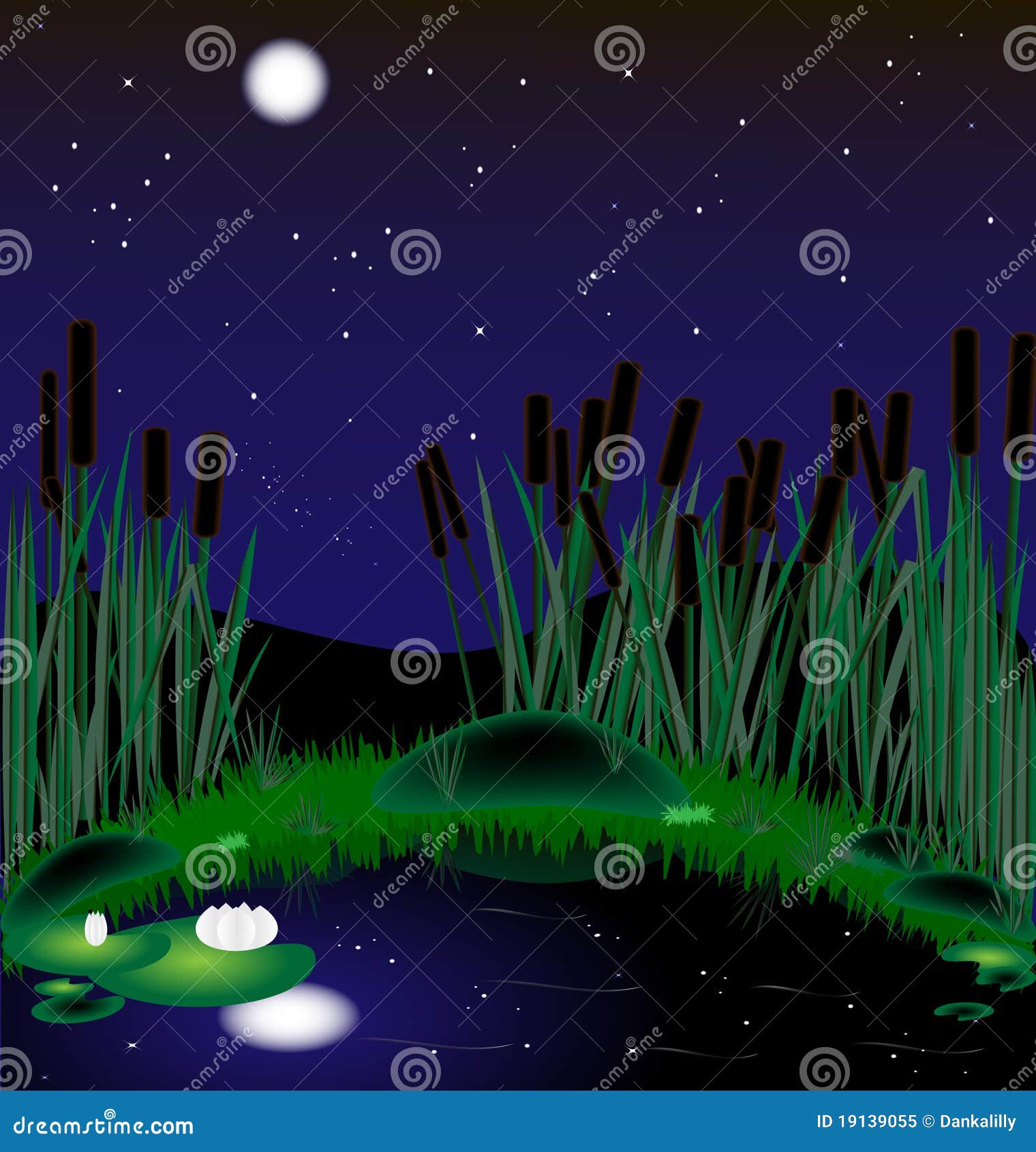 Night lake stock vector. Illustration of laguna, creative - 19139055