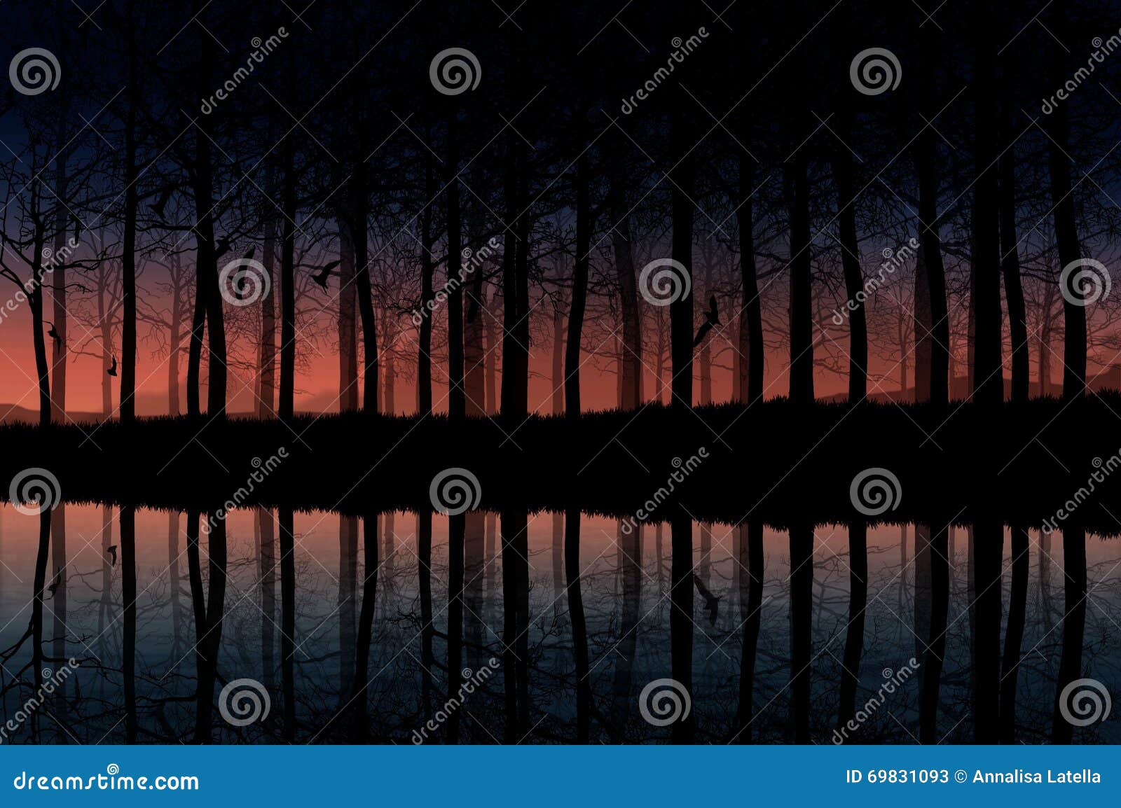 Night with lake and forest stock image. Image of mountain - 69831093
