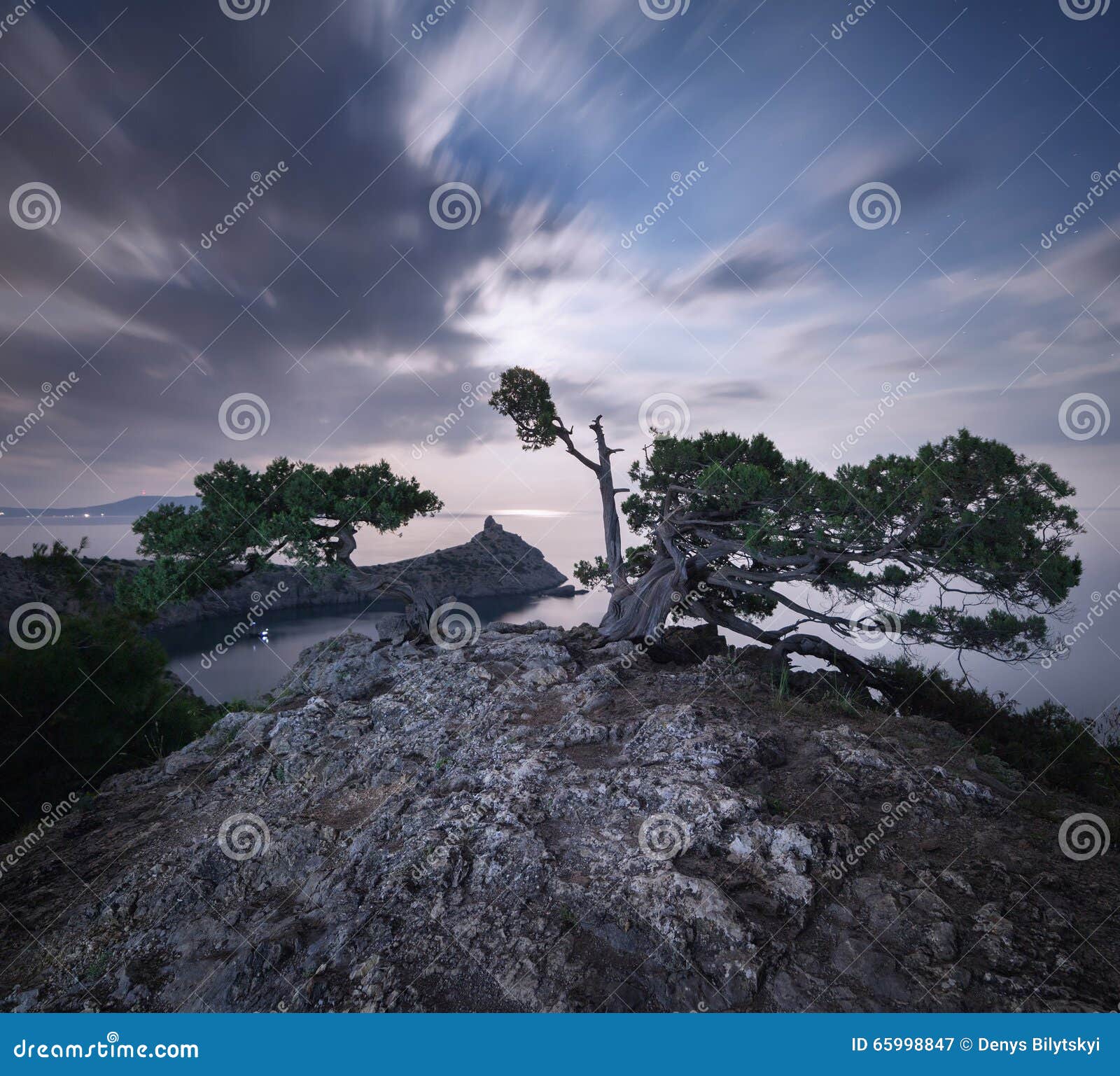 Night Landscape with Beautiful Tree at Mountains with Moonlight Stock ...