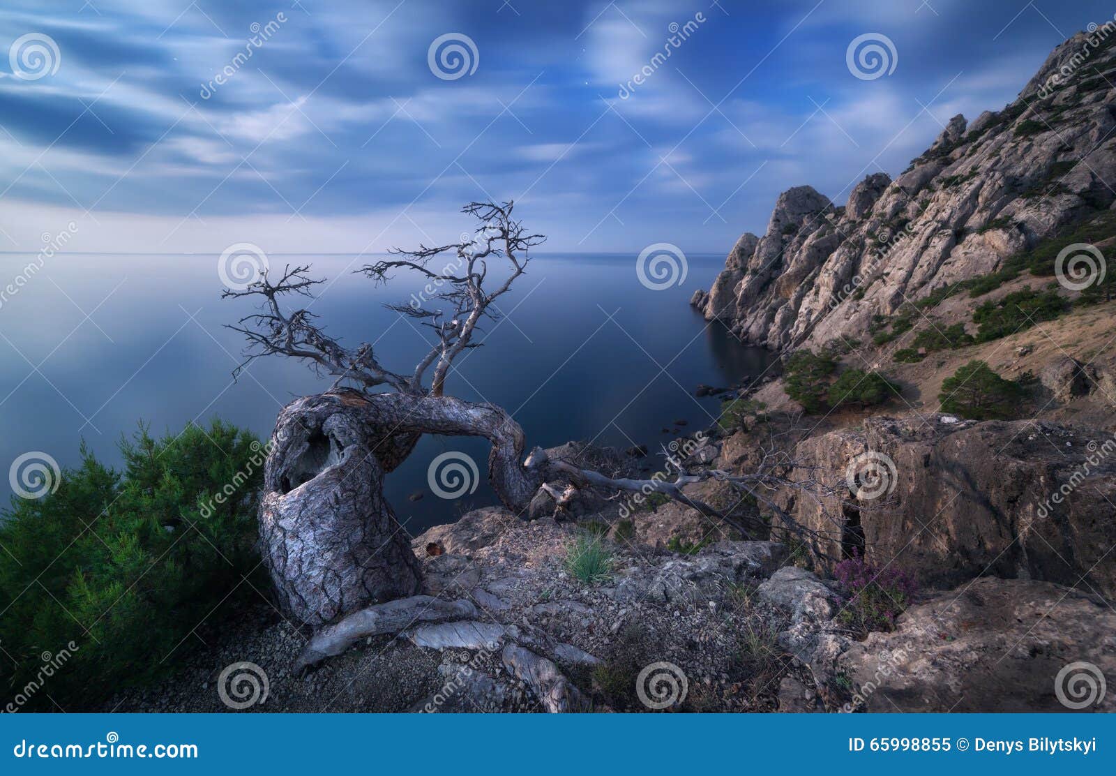 Night Landscape with Beautiful Tree at Mountains with Moonlight Stock ...