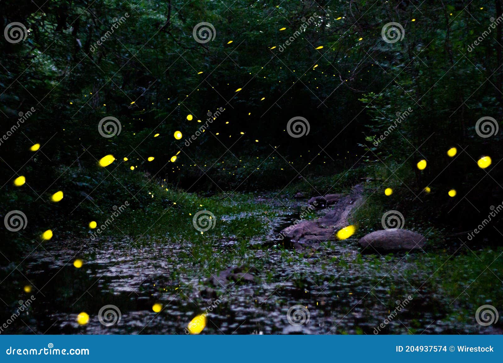 Night Landscape with Fireflies in the Mountain Stream Stock Photo ...