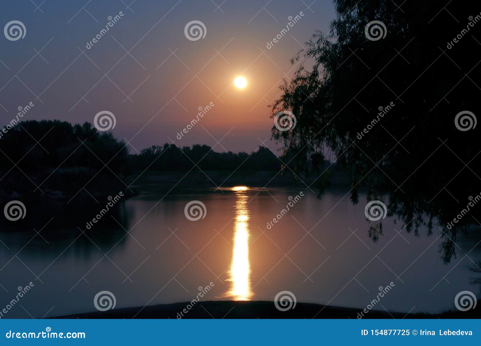 Night Landscape with a Full Moon Over the Lake, Which Reflects the ...