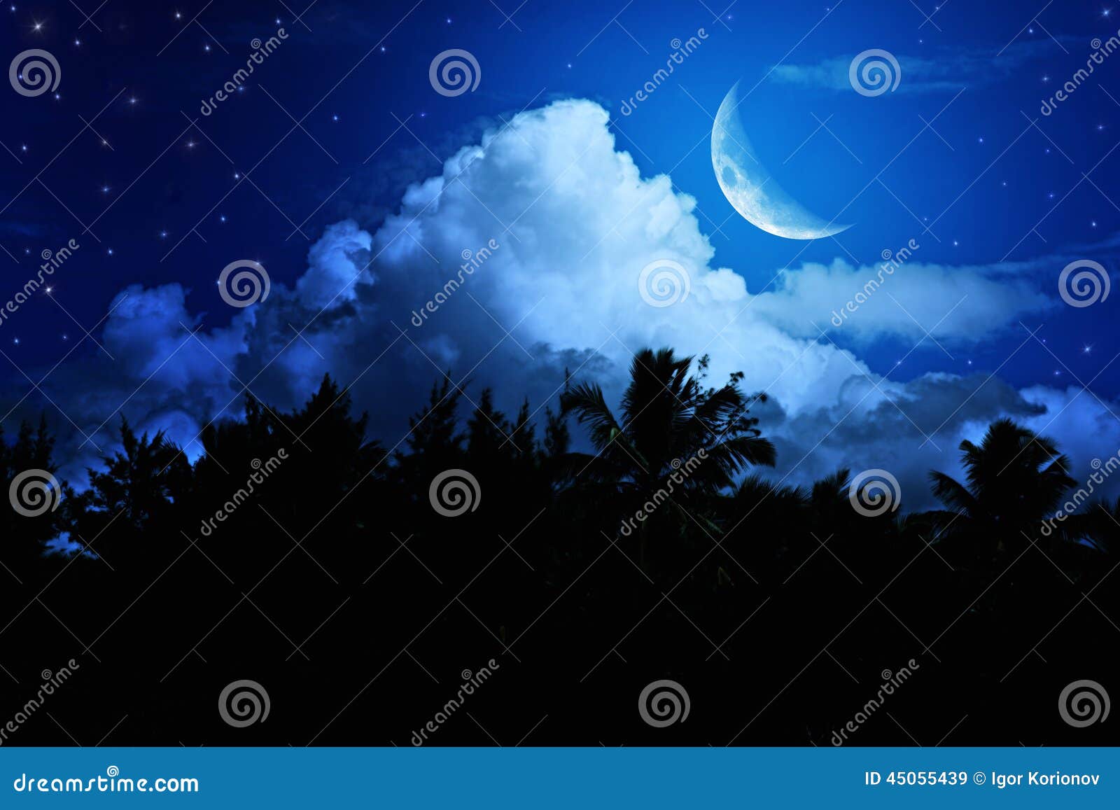 Night Landscape with the Moon Stock Image - Image of night, midnight ...
