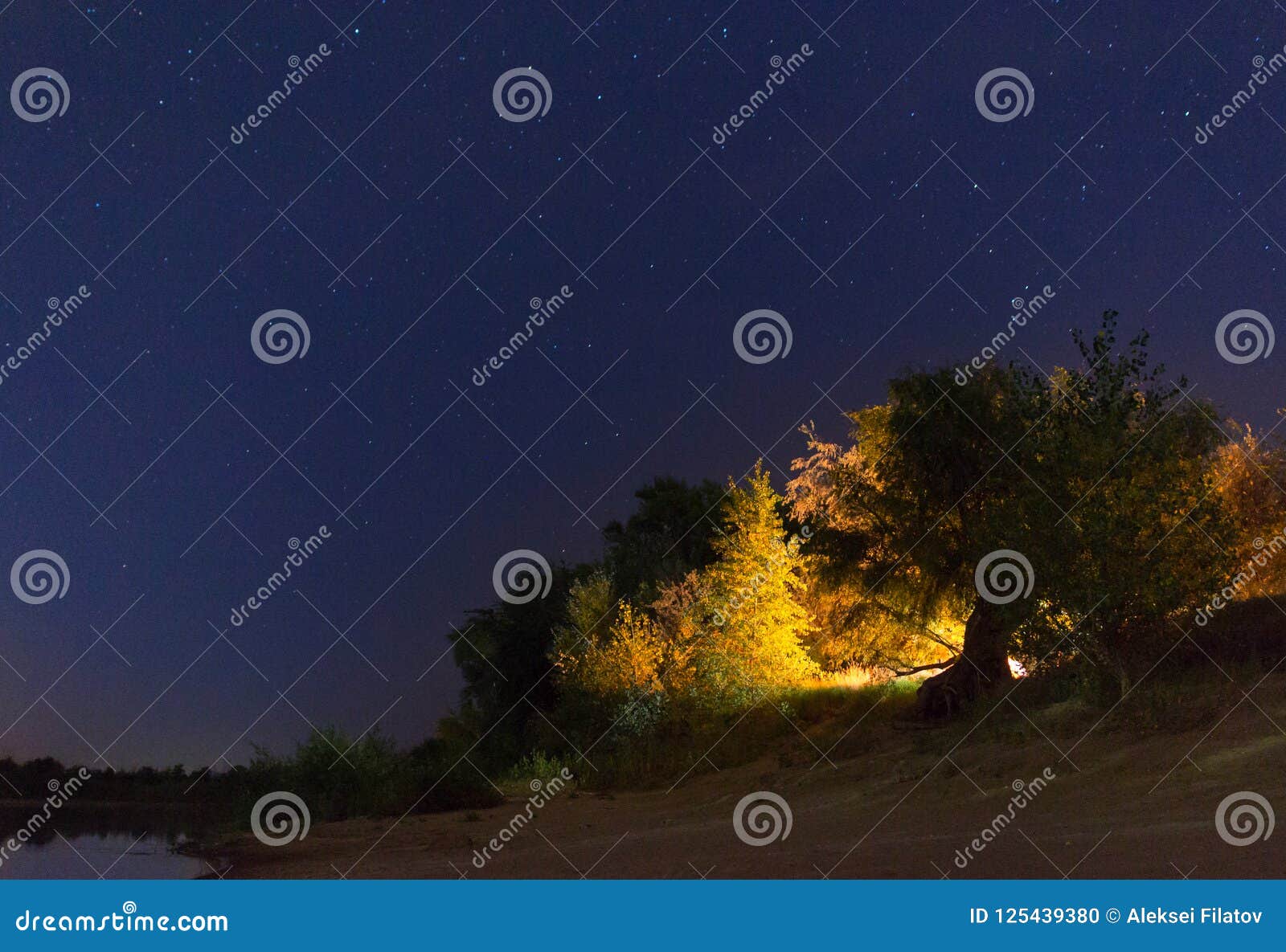 Night Landscape River and Forest Stock Photo - Image of black, forest ...