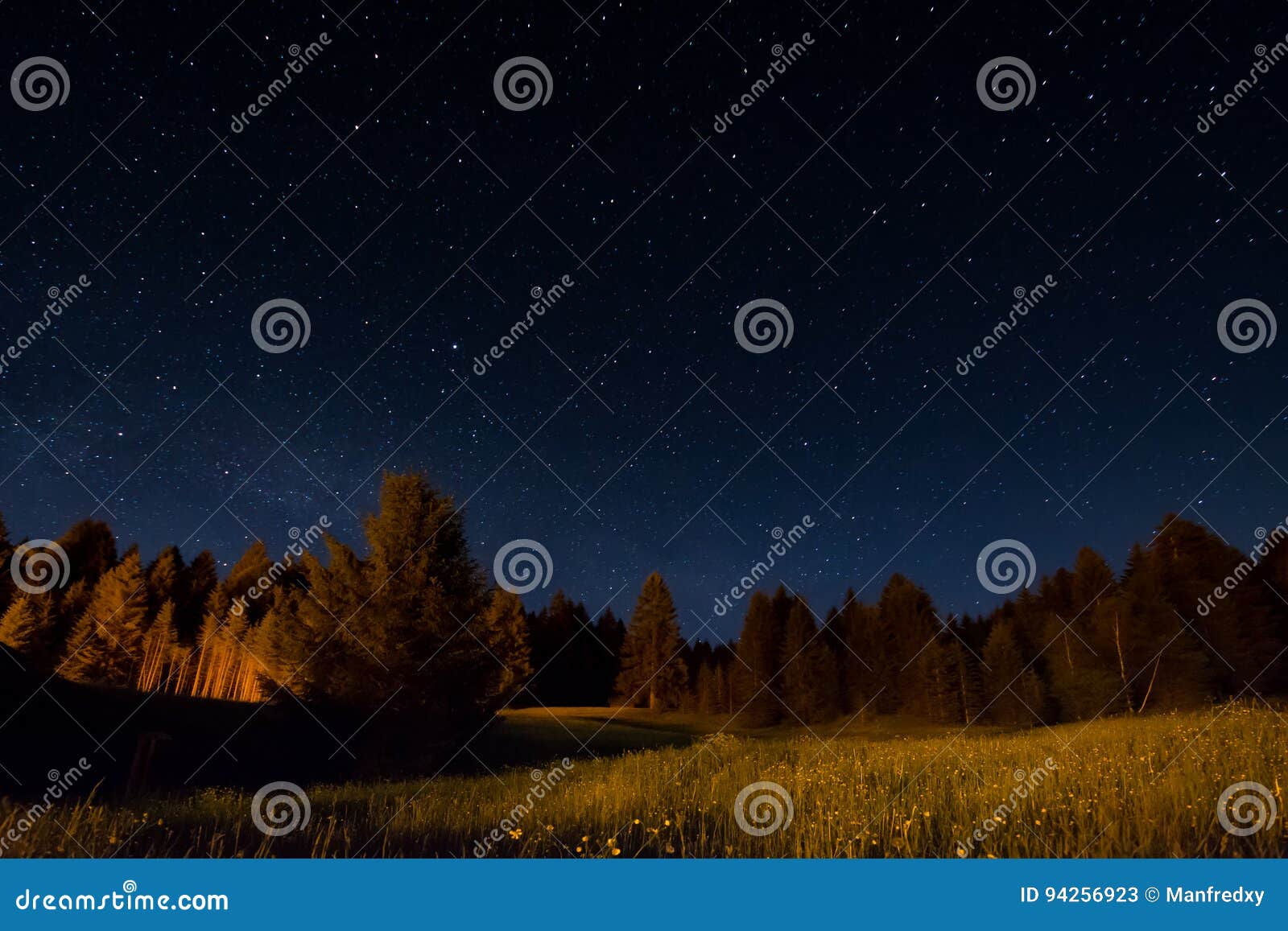 Night Landscape Under Starlight Stock Image - Image of starlight ...
