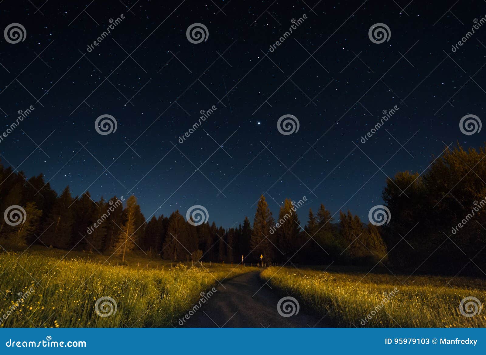 Night Landscape Under Starlight Stock Image - Image of night ...
