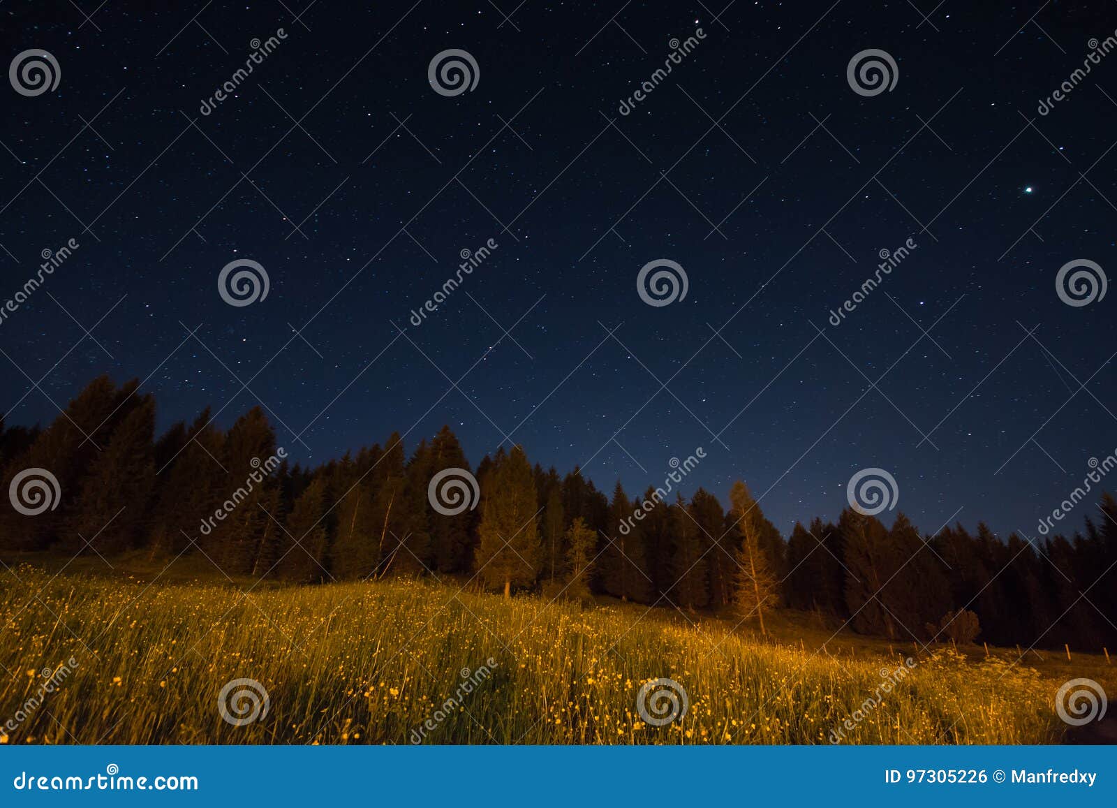 Night Landscape Under Starlight Stock Photo - Image of light, dark ...