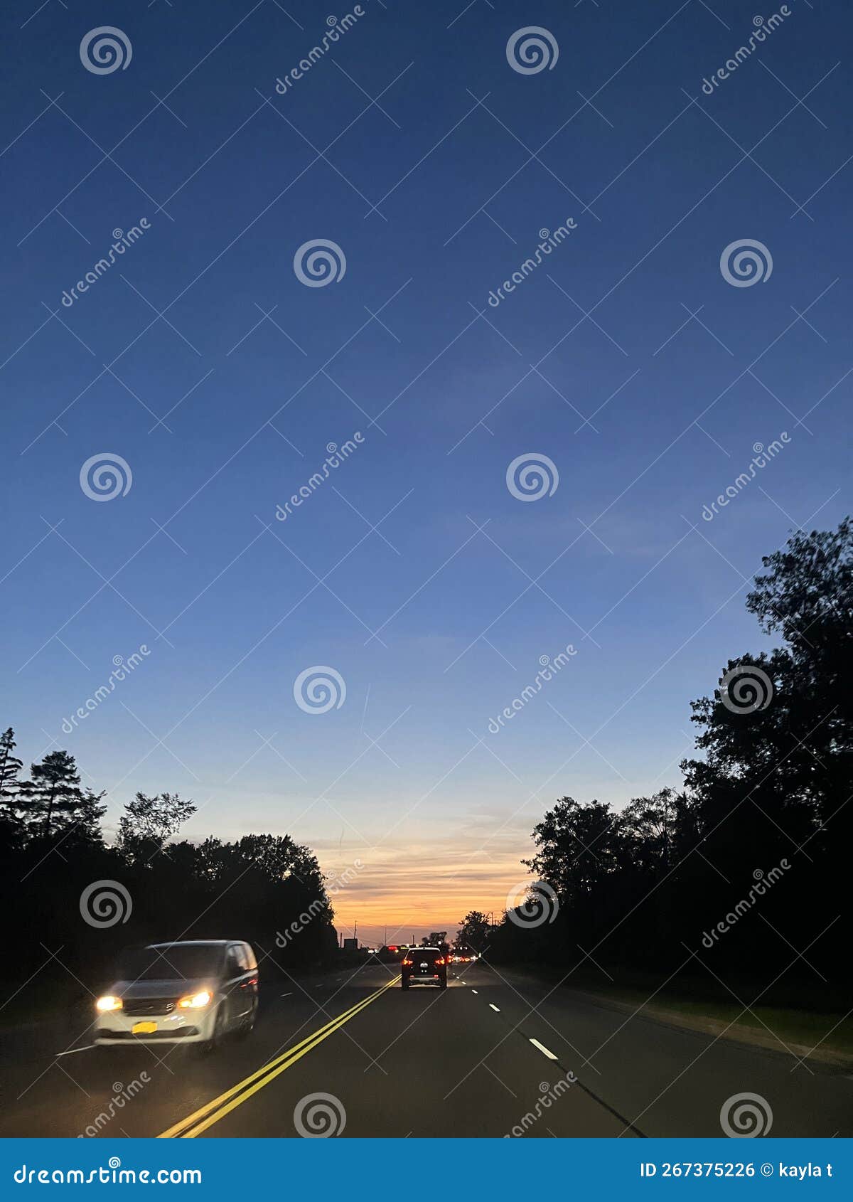 Night stock photo. Image of night, drive, late, trees - 267375226