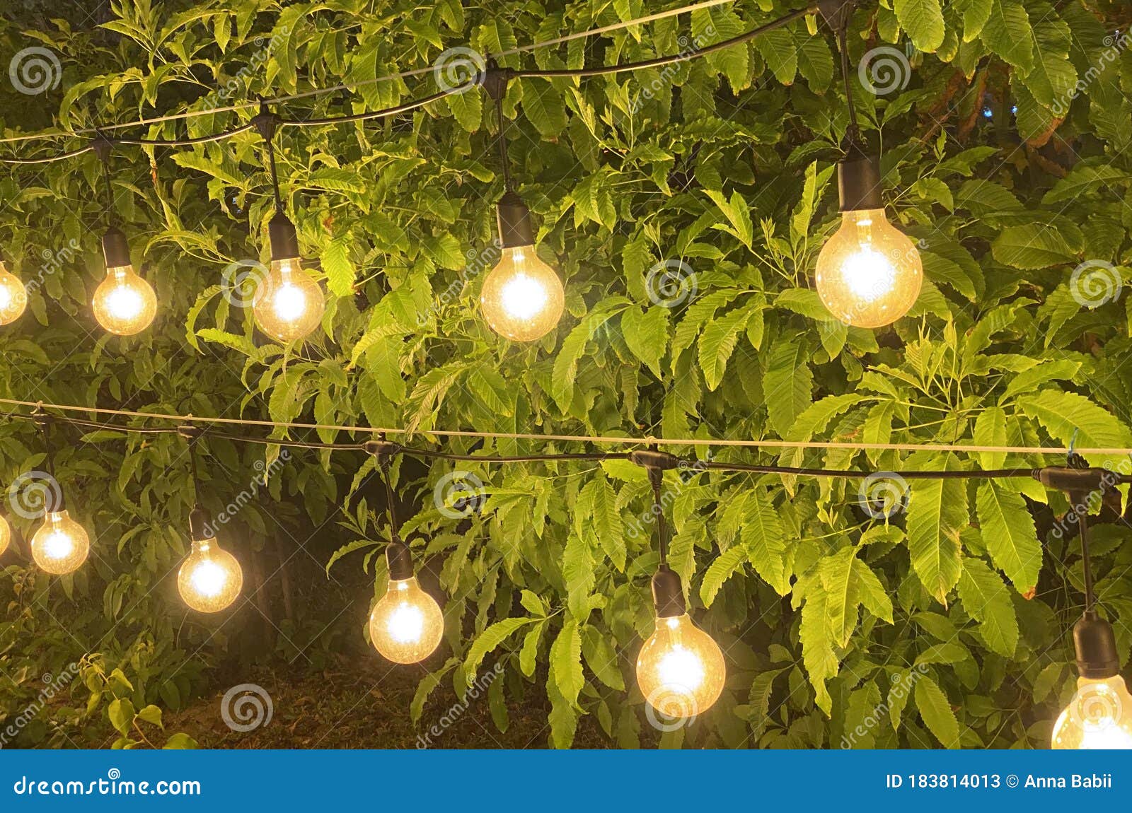 Night Light Bulbs on Green Leaves Background. Stock Image - Image of ...
