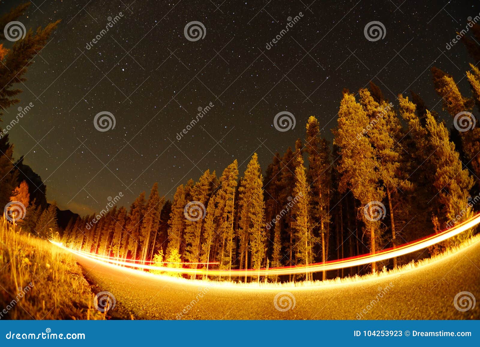 Night light and starlight stock image. Image of eternal - 104253923