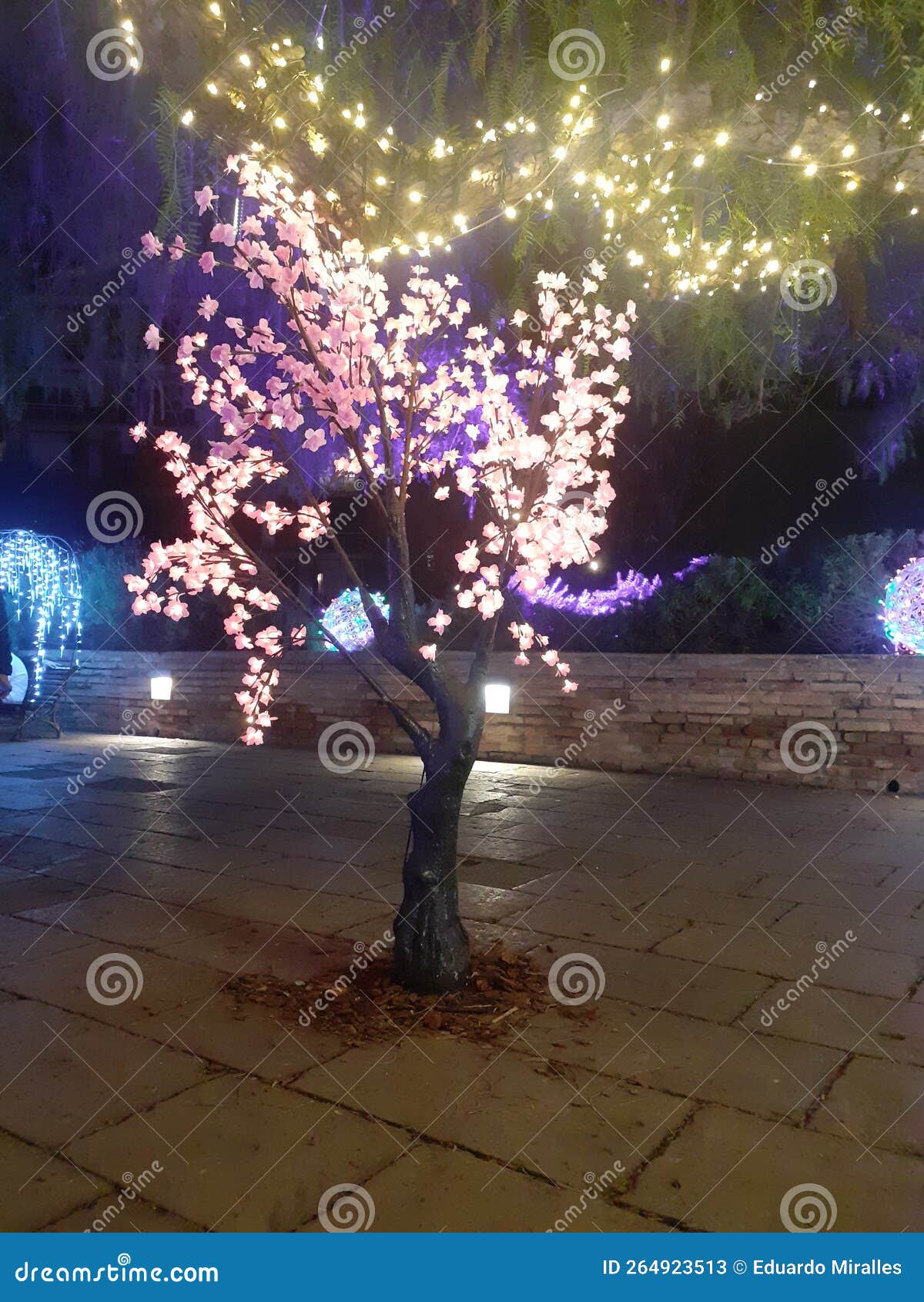 Night Light Tree Christmas Reflection Flower Stock Image - Image of ...