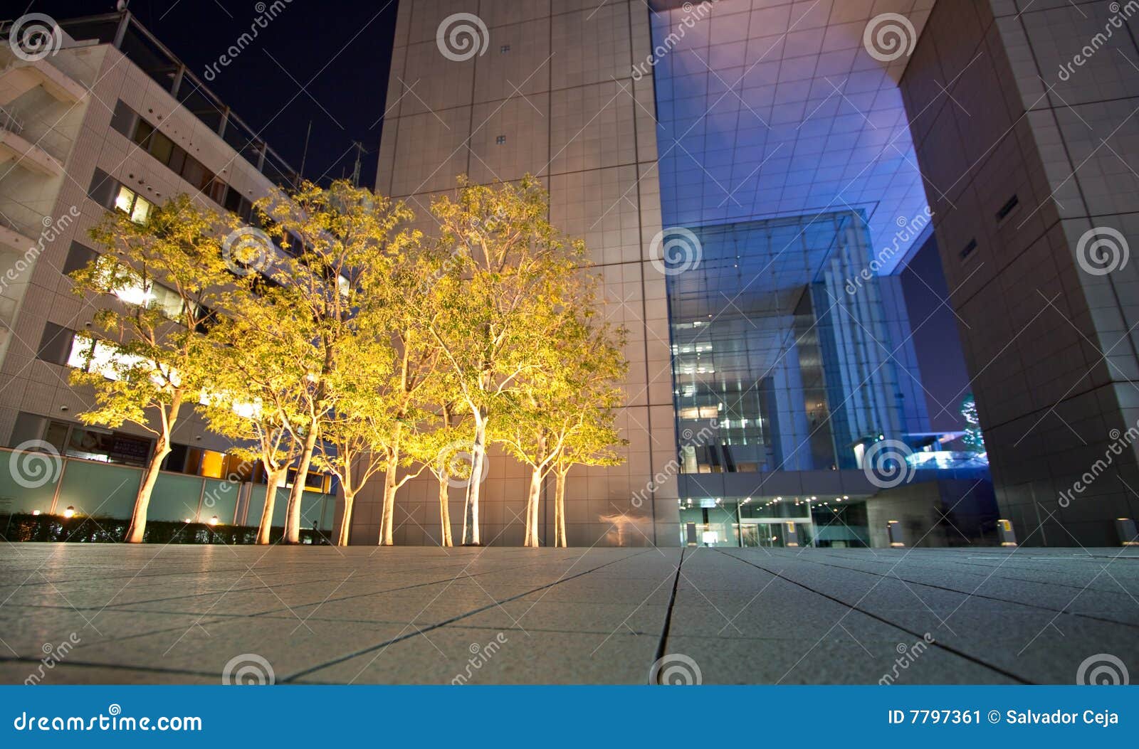 Night Lighting Architecture Stock Image - Image of evening, centre: 7797361