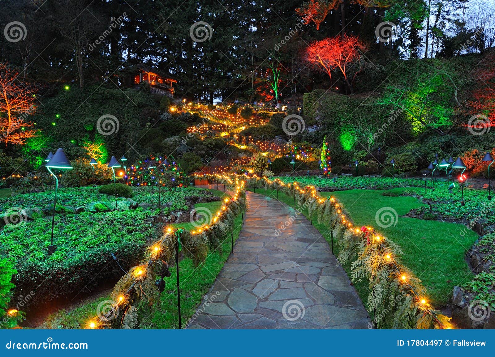 Night lighting of garden stock image. Image of lighting - 17804497