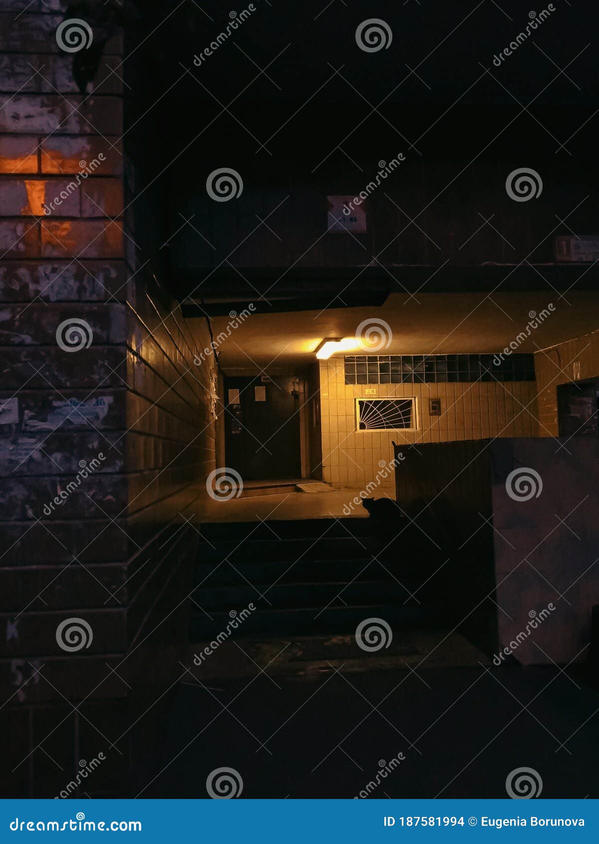Night Lights, Creepy Atmosphere Stock Photo - Image of lights, night ...