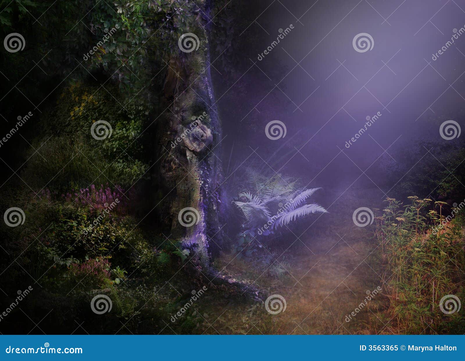 Night in MAgical forest stock illustration. Illustration of magical ...