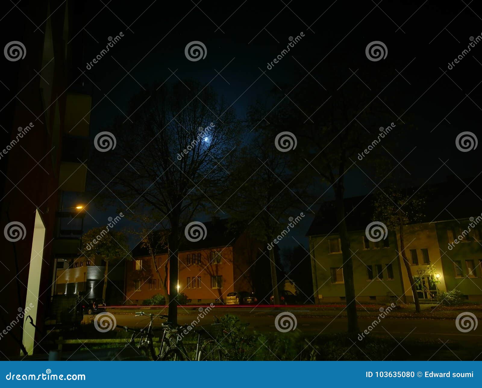 Night mode stock photo. Image of night, mode, trees - 103635080