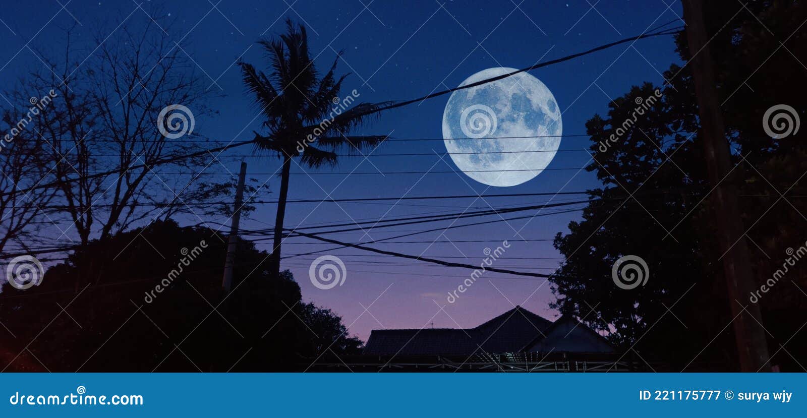 Night mon trees black dark stock image. Image of tree - 221175777