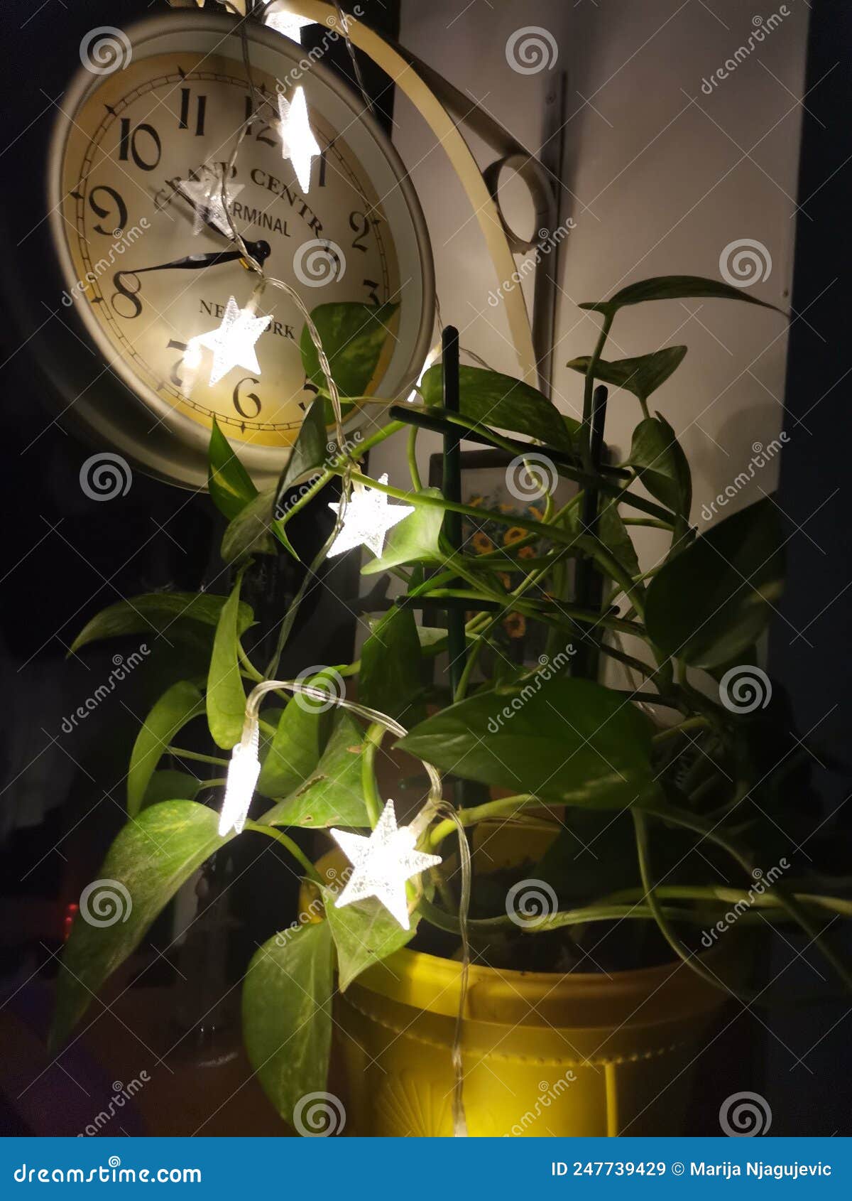 Night mood, sleepy, art stock image. Image of sleepy - 247739429