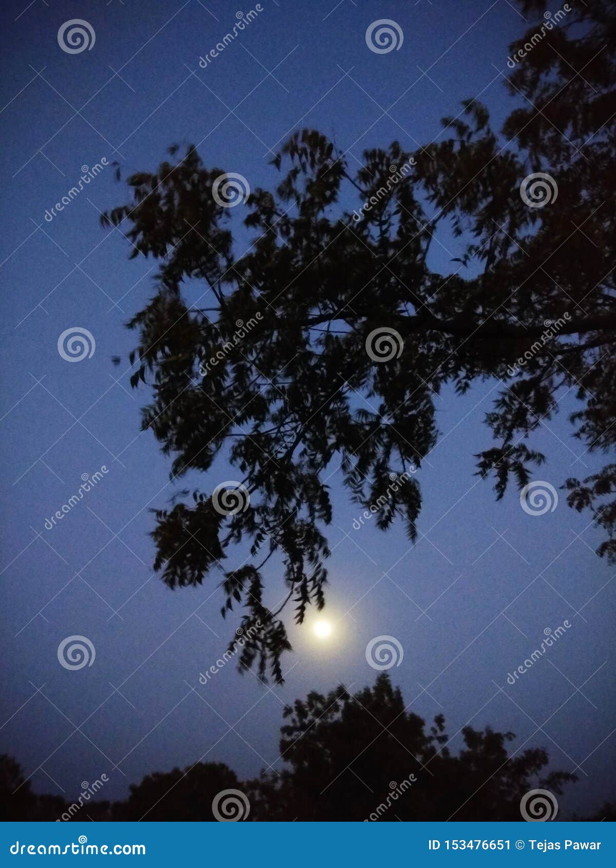 Night moon scene stock image. Image of wallpaper, superb - 153476651