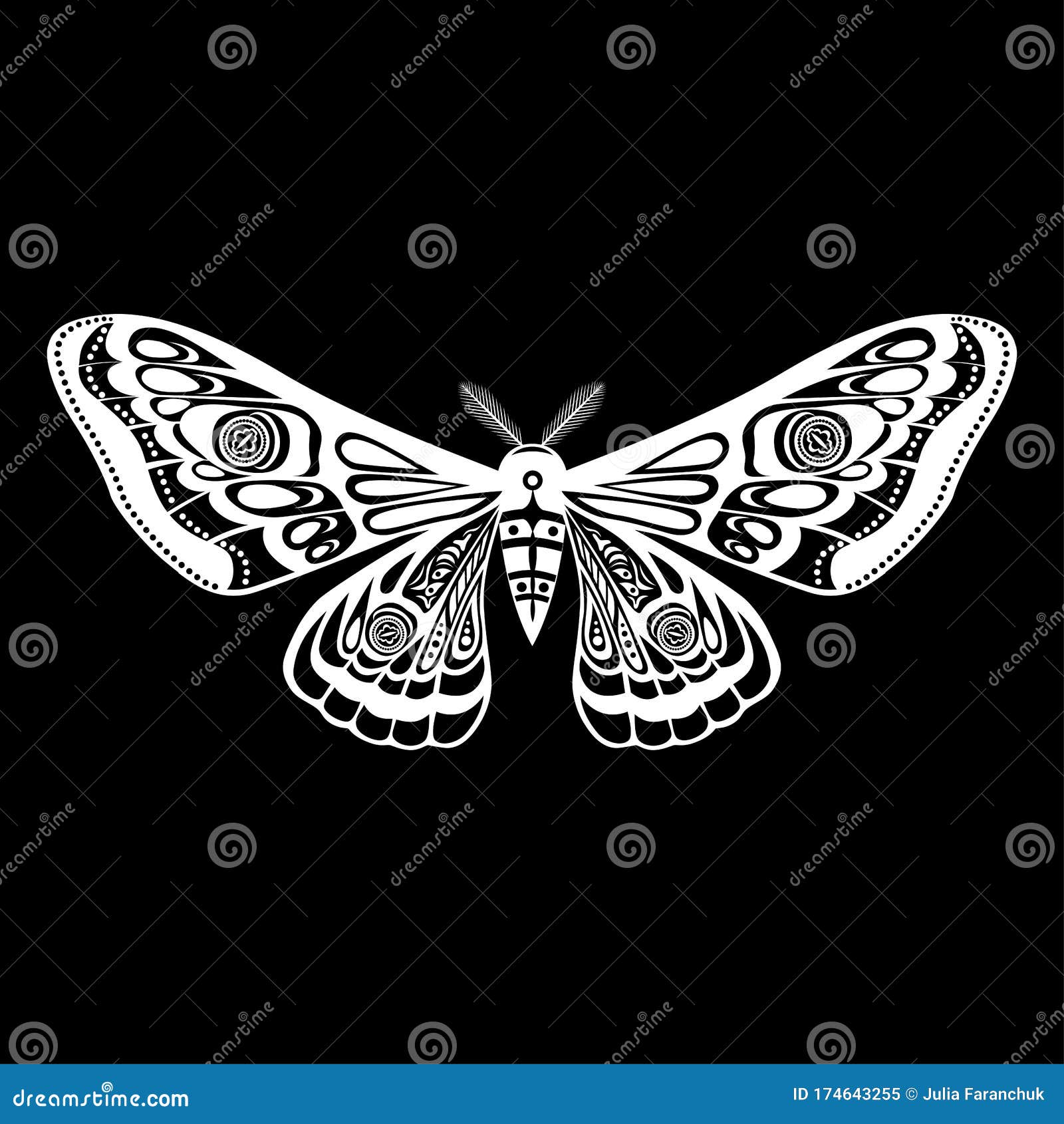 Night Moth, Butterfly. Vector Illustration. Half Open Wings. Design ...