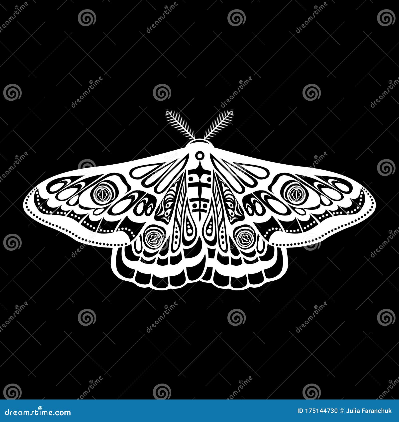 Night Moth, Butterfly. Vector Illustration. Half Open Wings Stock ...