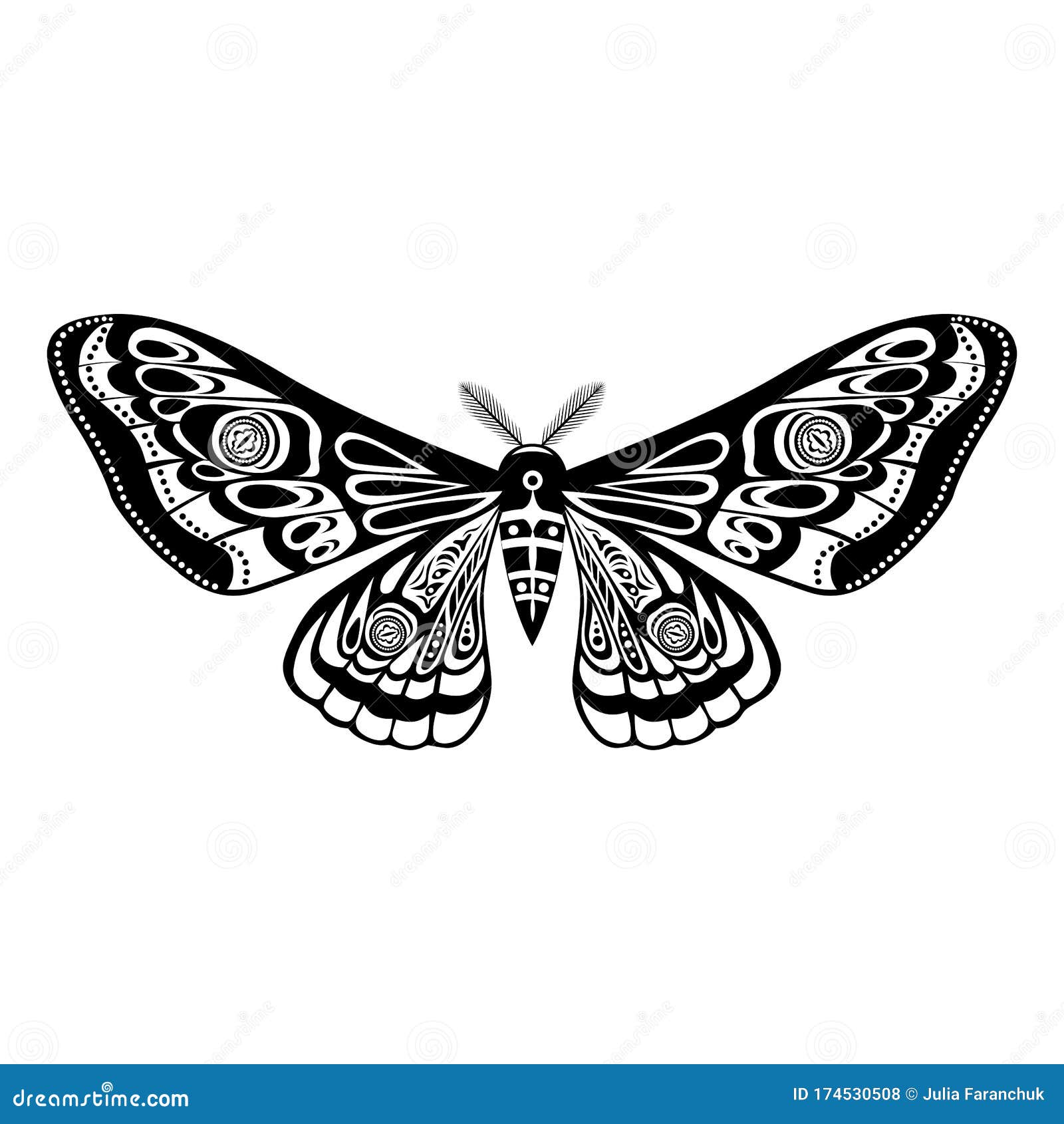 Night Moth, Butterfly. Vector Illustration. Half Open Wings. Design ...