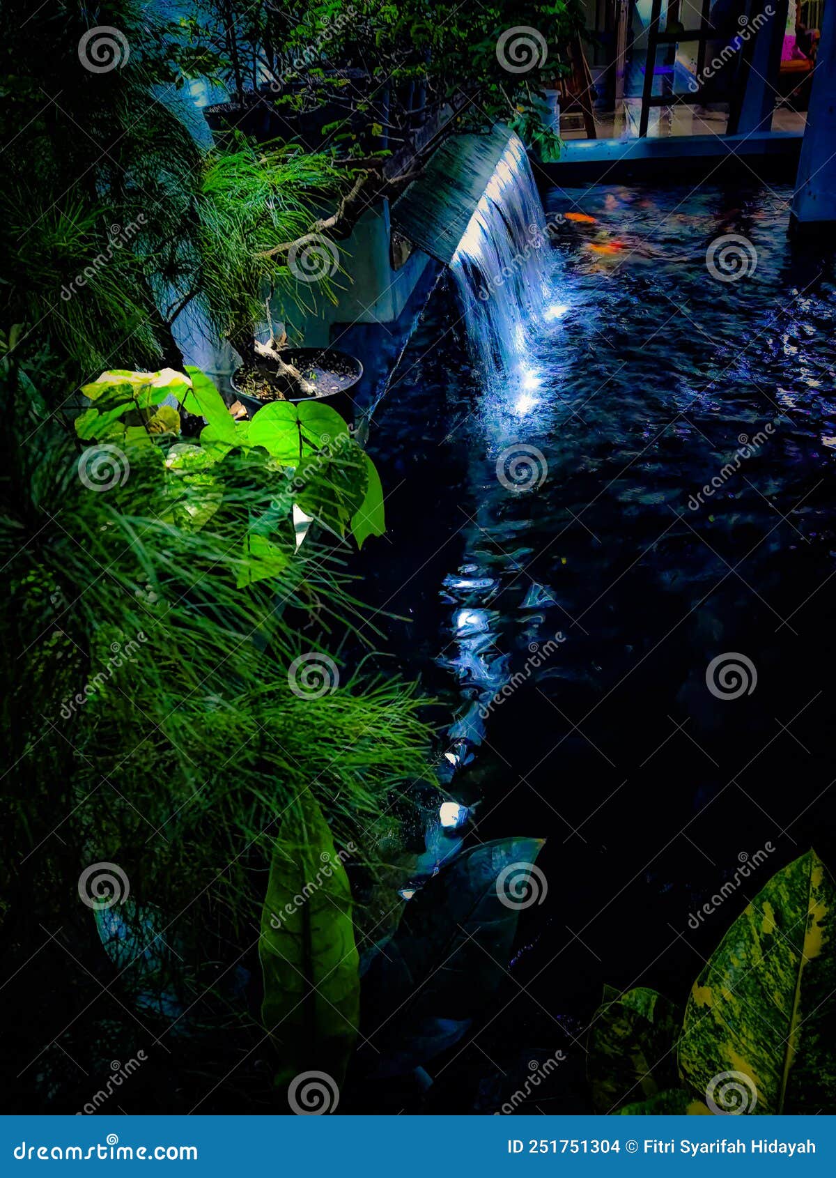 In the Night in My Fish Pond Stock Photo - Image of night, pond: 251751304