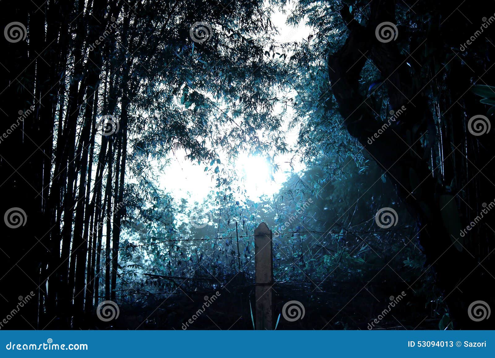 Night Nature and Ghost Illustration Stock Image - Image of moire ...