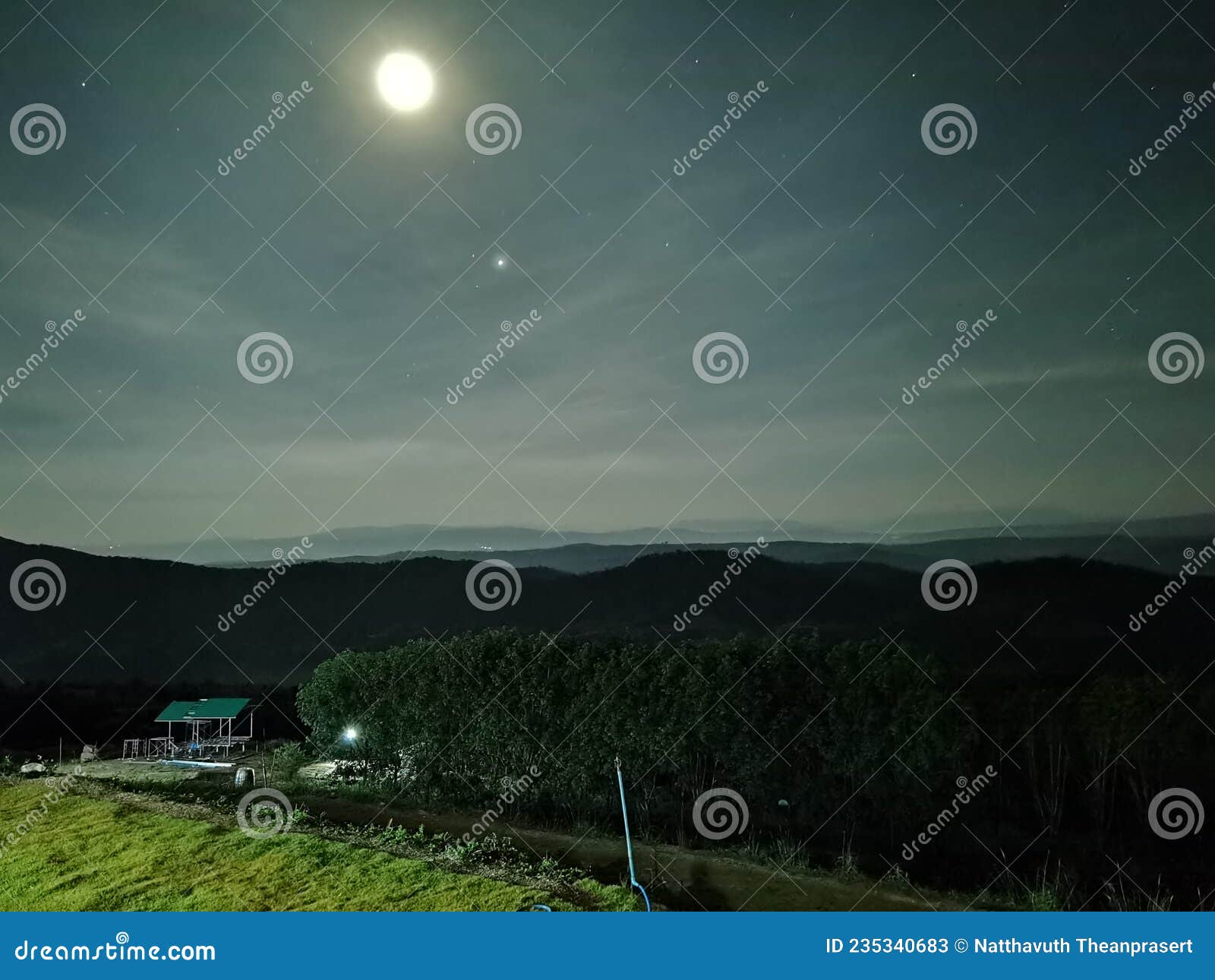 Night nature view stock image. Image of light, green - 235340683