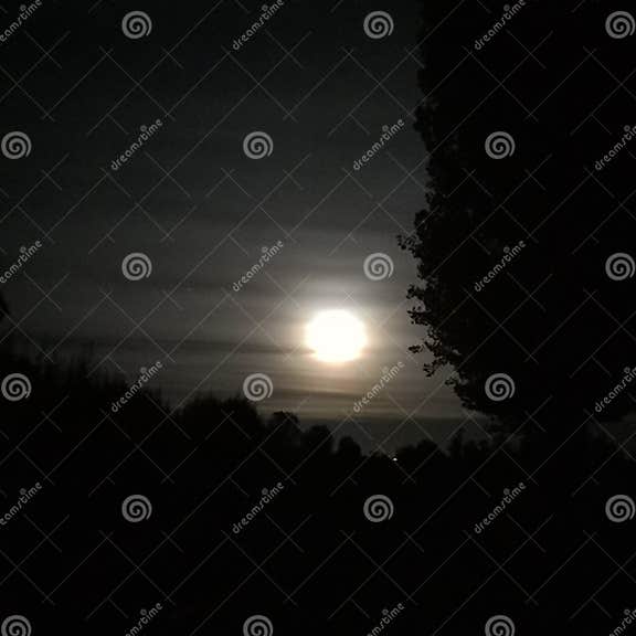 Night stock image. Image of black, night, shadow, scream - 130389409