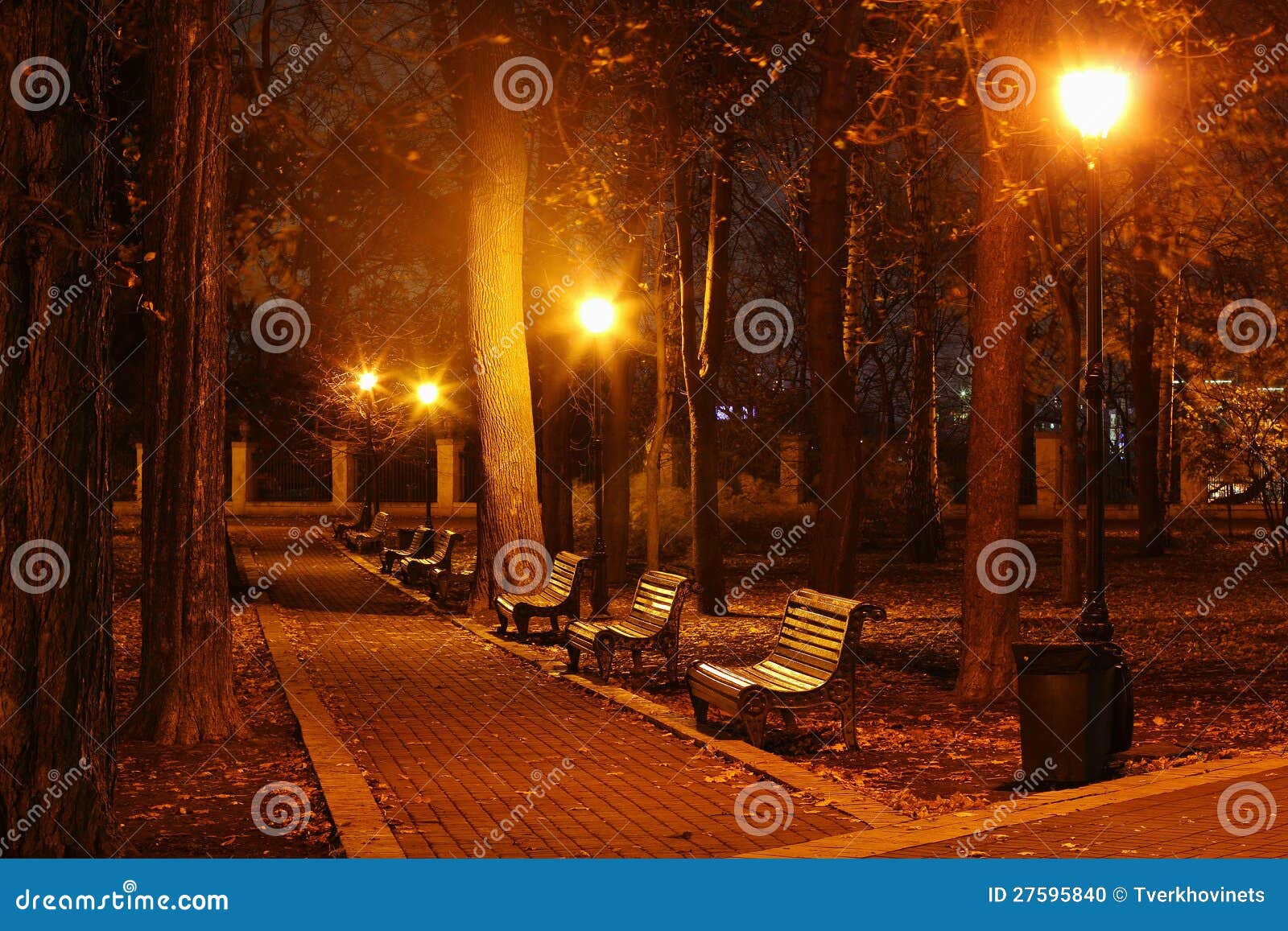 Night in the park stock photo. Image of late, lantern - 27595840