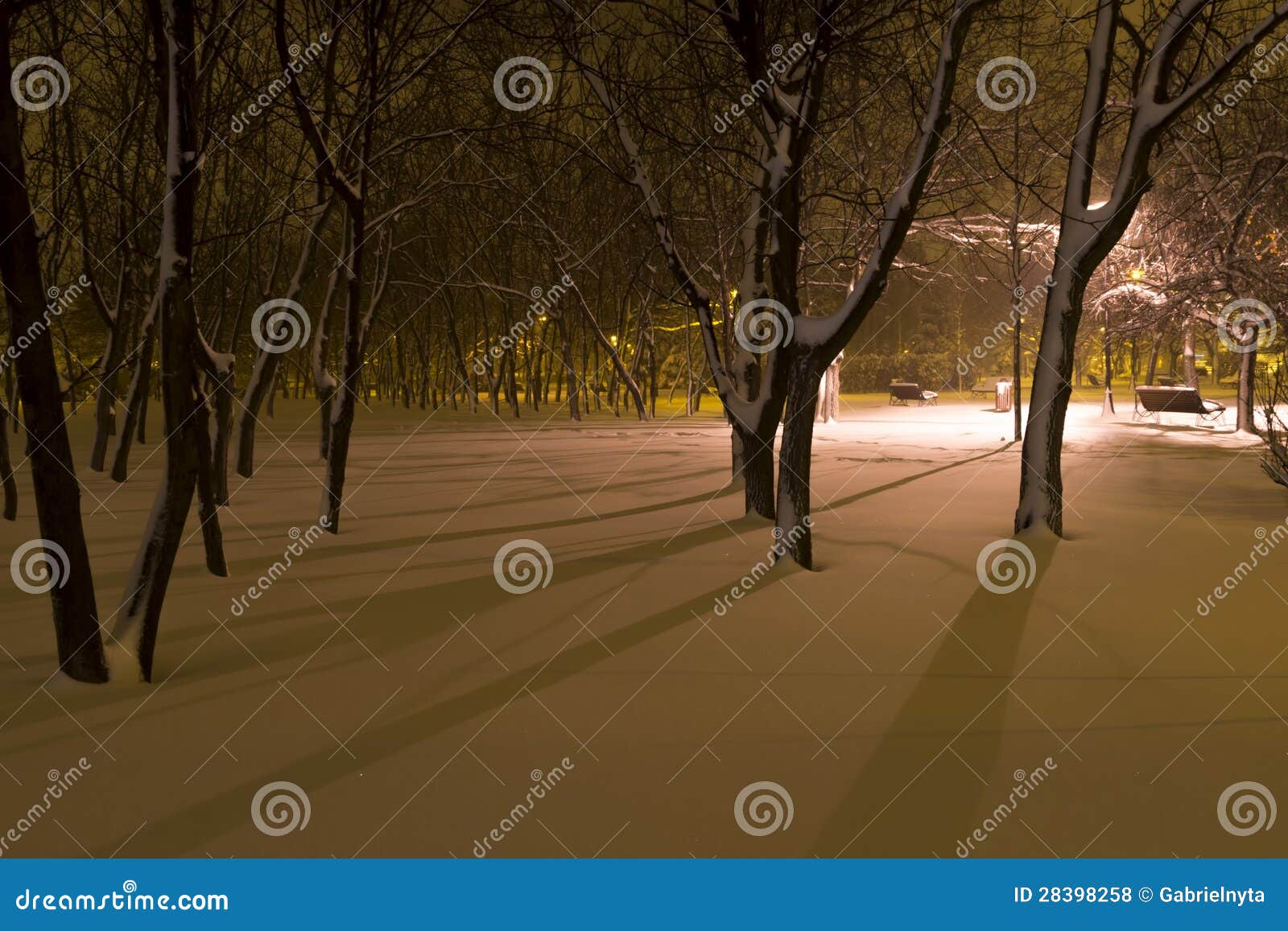 Night in the park stock photo. Image of lights, night - 28398258