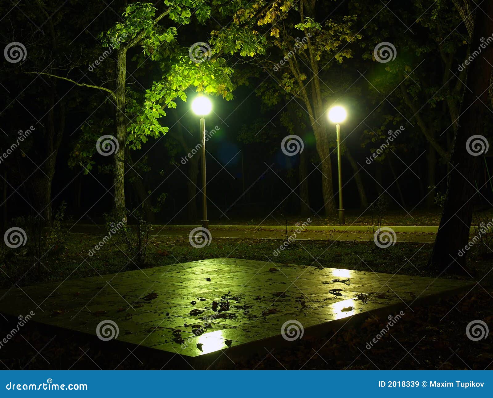 Night park with lights stock image. Image of forest, dark - 2018339