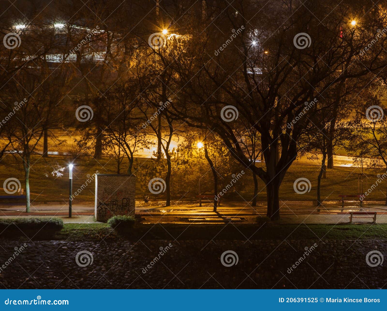 Night in the park stock image. Image of background, panorama - 206391525