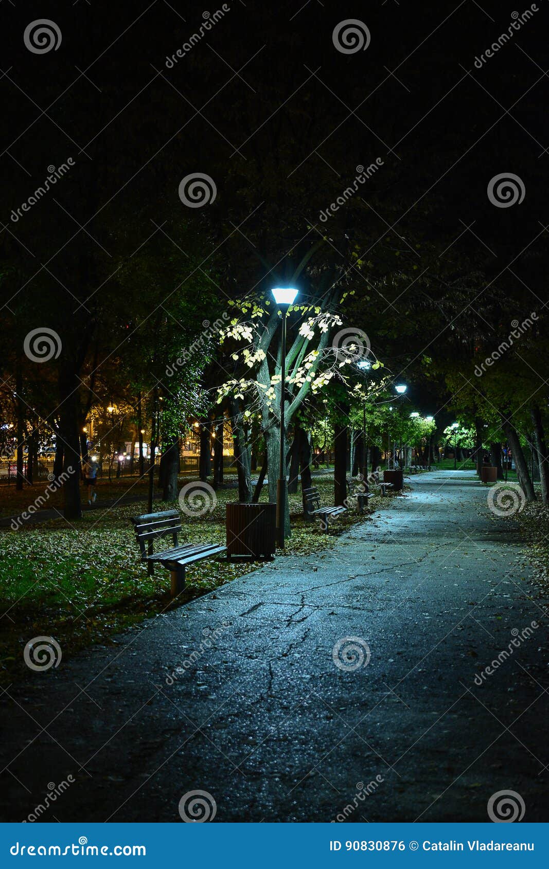 Night in park stock photo. Image of bucuresti, monument - 90830876