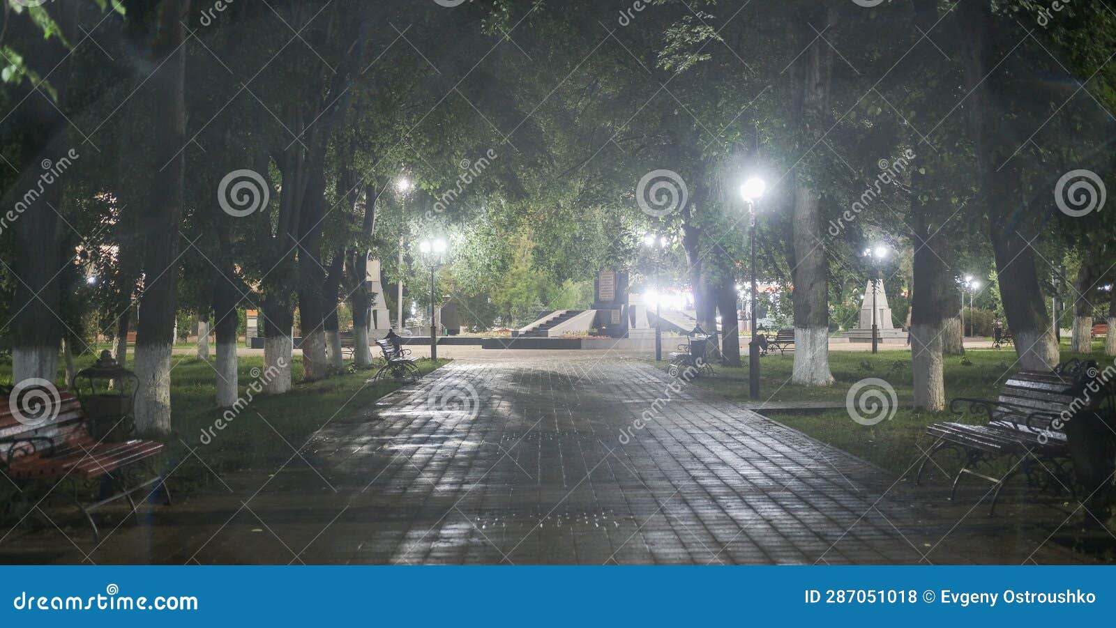 Night Park after Rain with Beautiful Illumination Stock Photo - Image ...