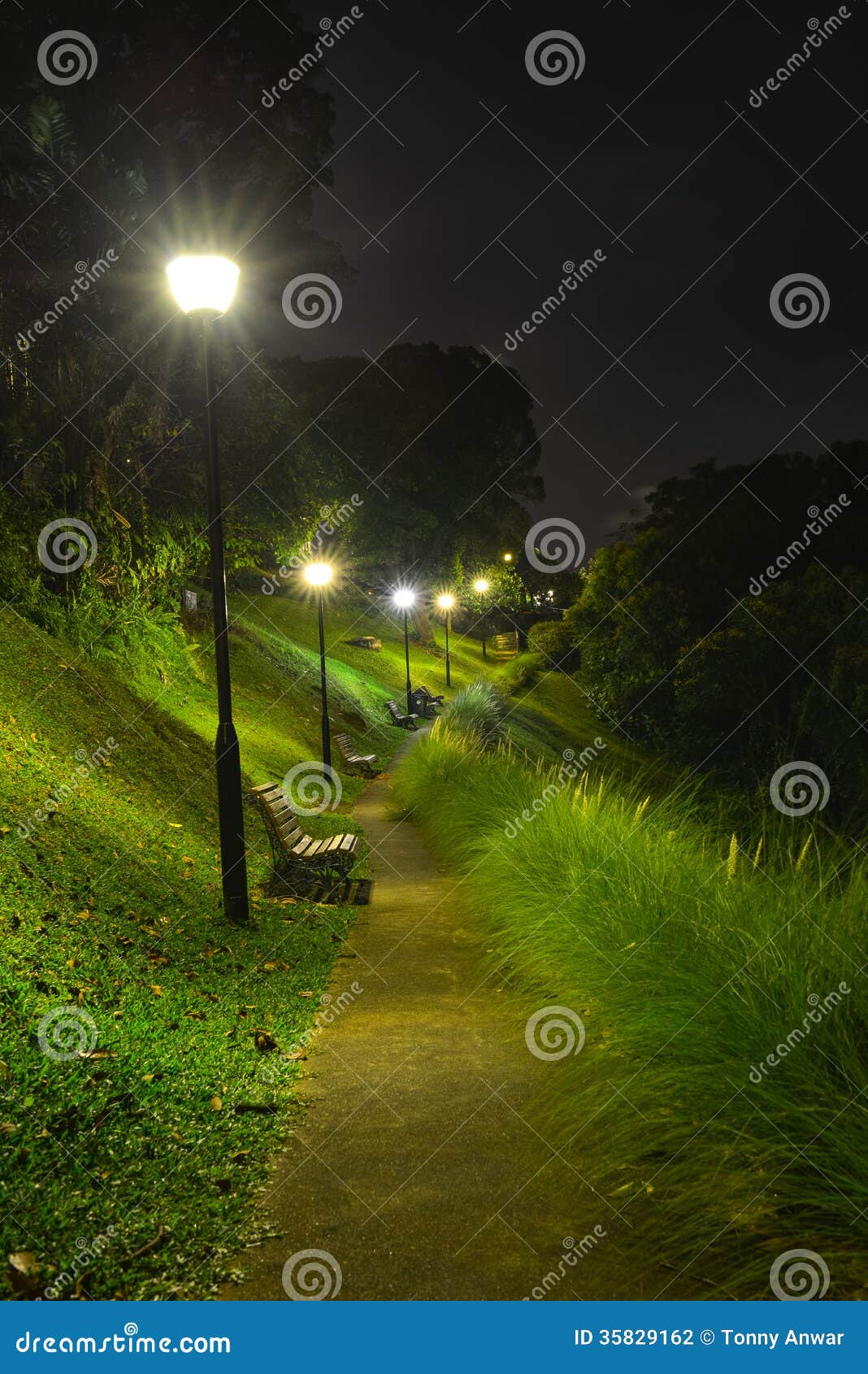 Night Park stock photo. Image of pathway, night, park - 35829162