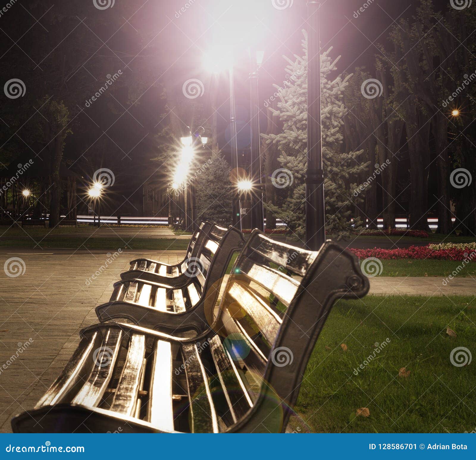 Night Park View of Three Benches and Lights Stock Image - Image of ...