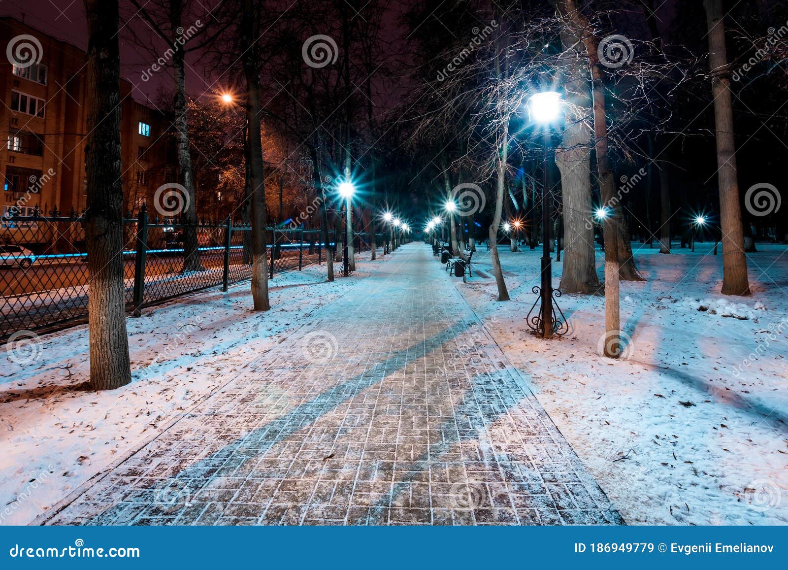 Night Park in Winter with Fallen Snow Stock Image - Image of decorative ...