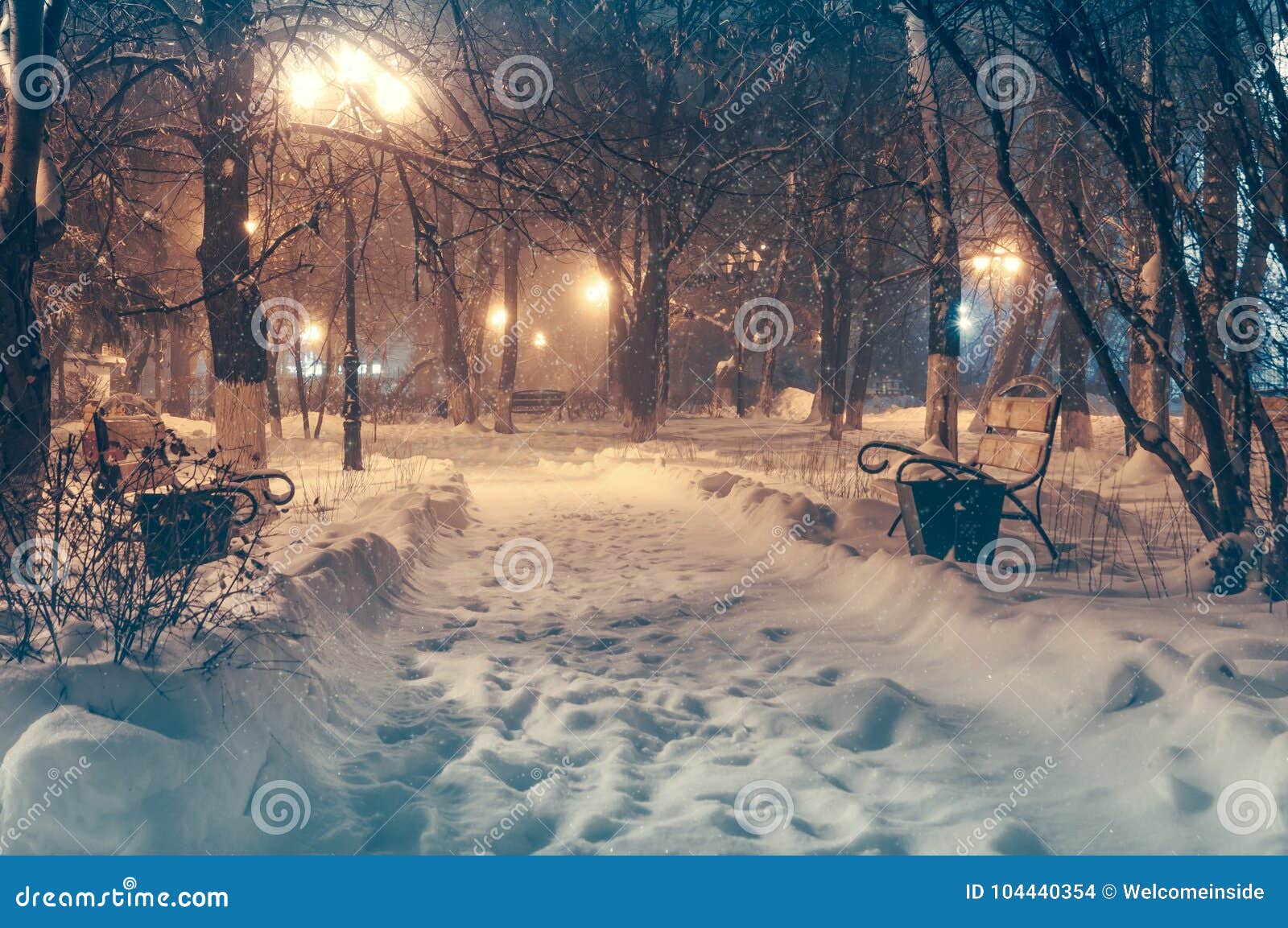Winter Park. Night Park during a Snowfall. Mist Light Stock Photo ...