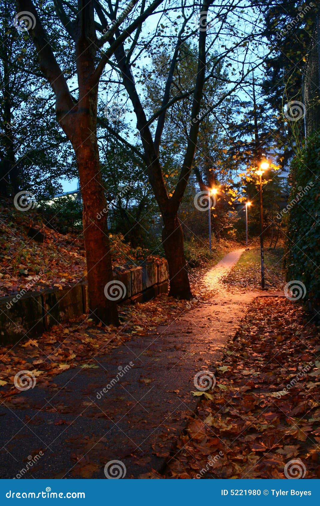 Night path stock photo. Image of lane, rural, landscape - 5221980